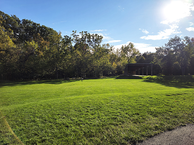 Wide open spaces provide room to breathe. This sunlit meadow offers the perfect stage for cloud-watching, picnicking, or pretending you're in a period drama.