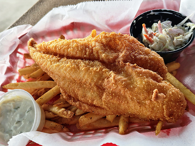 Golden, crispy perfection atop a bed of fries. If Michelangelo sculpted comfort food instead of marble, it would look like this.