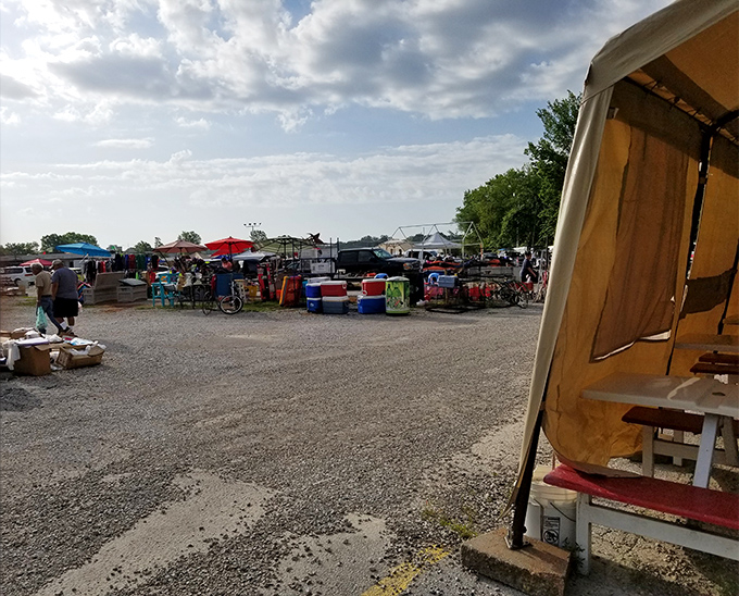 Morning light bathes the gravel pathways between vendor stalls, where early birds hunt for worms in the form of undiscovered bargains.