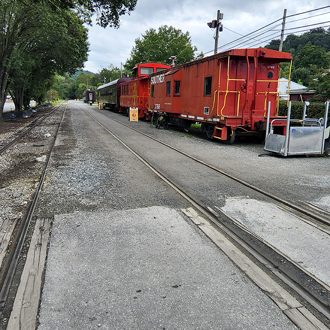 Modern workhorses share the rails, proving this isn't just a tourist attraction but living transportation history.
