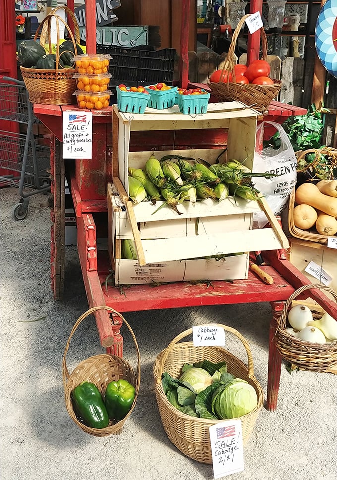Farm-fresh bounty that makes grocery stores seem like a sad compromise. These vibrant vegetables practically beg to star in tonight's dinner.
