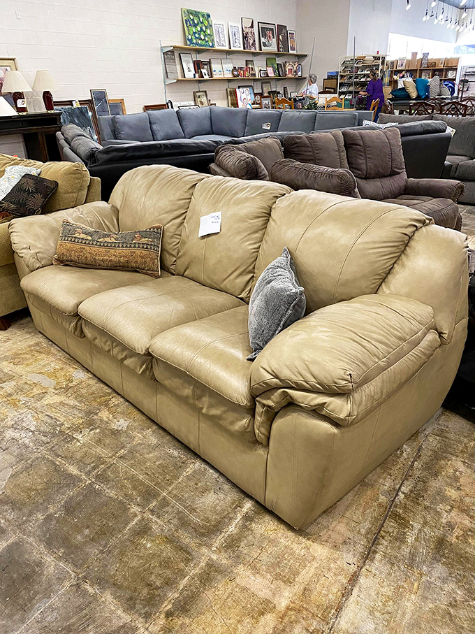 Couch potato paradise! These pre-loved sofas aren't just furniture&mdash;they're adoption-ready seating arrangements waiting for their forever homes.