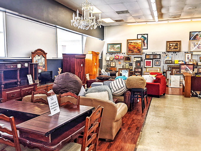 That chandelier hanging above mismatched furniture creates the perfect metaphor for thrifting: unexpected elegance amid everyday treasures.