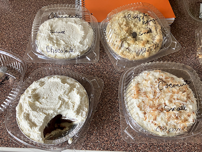 Cream pies in their natural habitat, labeled with the care of museum artifacts. That chocolate one with the bite missing? Someone couldn't wait.