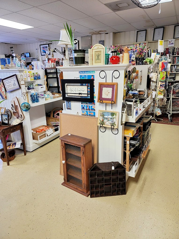 Every aisle tells a different story. From practical housewares to whimsical decor pieces, this organized chaos is a DIYer's dream playground. 