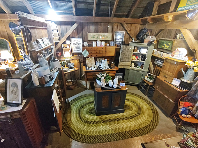 Kitchen treasures arranged like a museum exhibit. That oval braided rug anchors the space like it's saying, "Stay awhile, browse awhile."