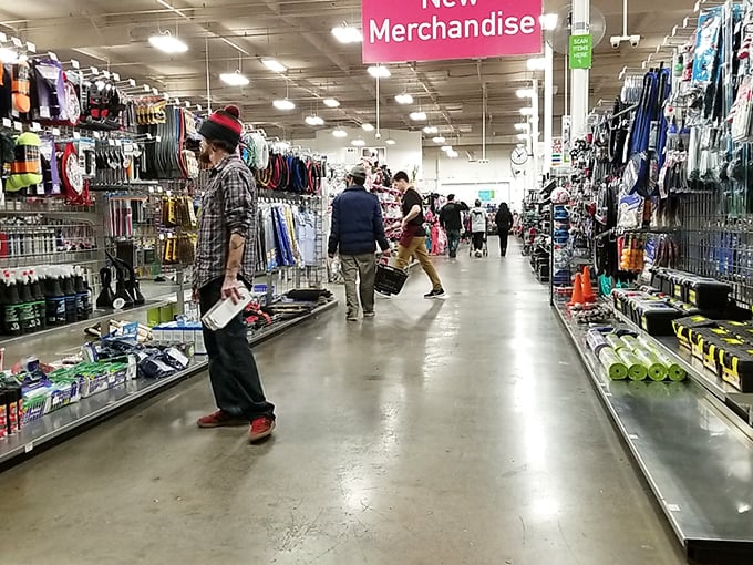 Wide aisles and clear signage&mdash;a thrift store that respects your personal space! No elbow-throwing required to score that vintage lamp.