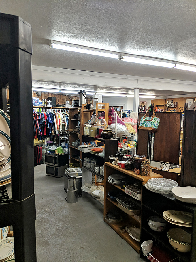 Organized chaos at its finest&mdash;shelves stacked with everyday treasures from kitchenware to clothing, each item patiently waiting for its "you had me at hello" moment.