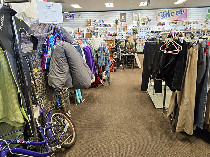 The clothing department defies thrift store stereotypes with organized racks that make hunting for that perfect blazer considerably less daunting.