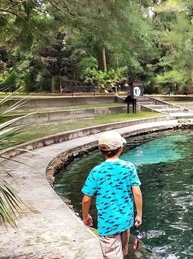 Childhood wonder meets natural splendor as a young explorer contemplates the mysteries of Juniper's impossibly blue waters.