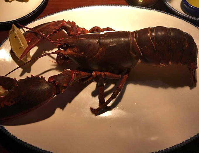 Behold the crown jewel - Maine lobster that'll make you forget you're miles from the coast.