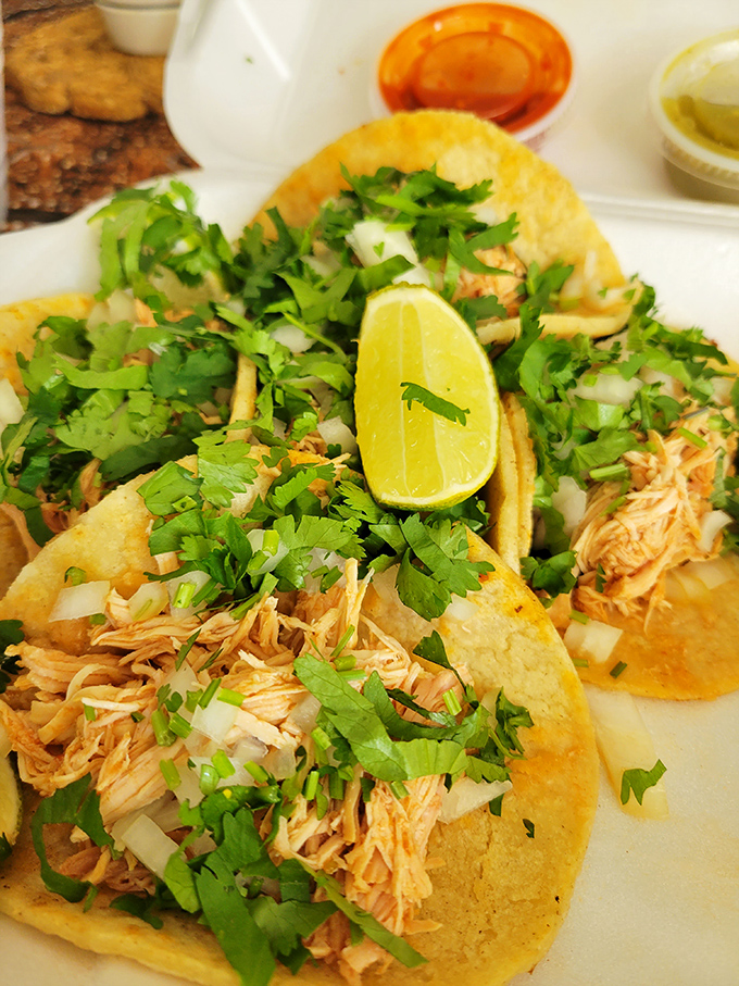 Authentic street tacos don't need fancy presentation – just perfectly seasoned meat, fresh cilantro, onions, and that essential lime wedge for brightness.