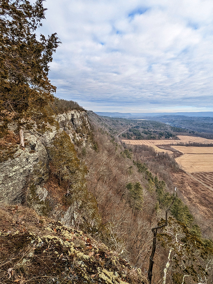 The reward for your hiking efforts: a panoramic vista that makes your phone's wallpaper look like amateur hour. Delaware Valley spreads out like nature's quilt.