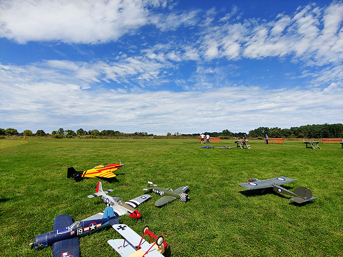 Model airplanes await takeoff on nature's runway. These miniature marvels transform an ordinary field into the world's most peaceful airport &ndash; no TSA lines in sight!