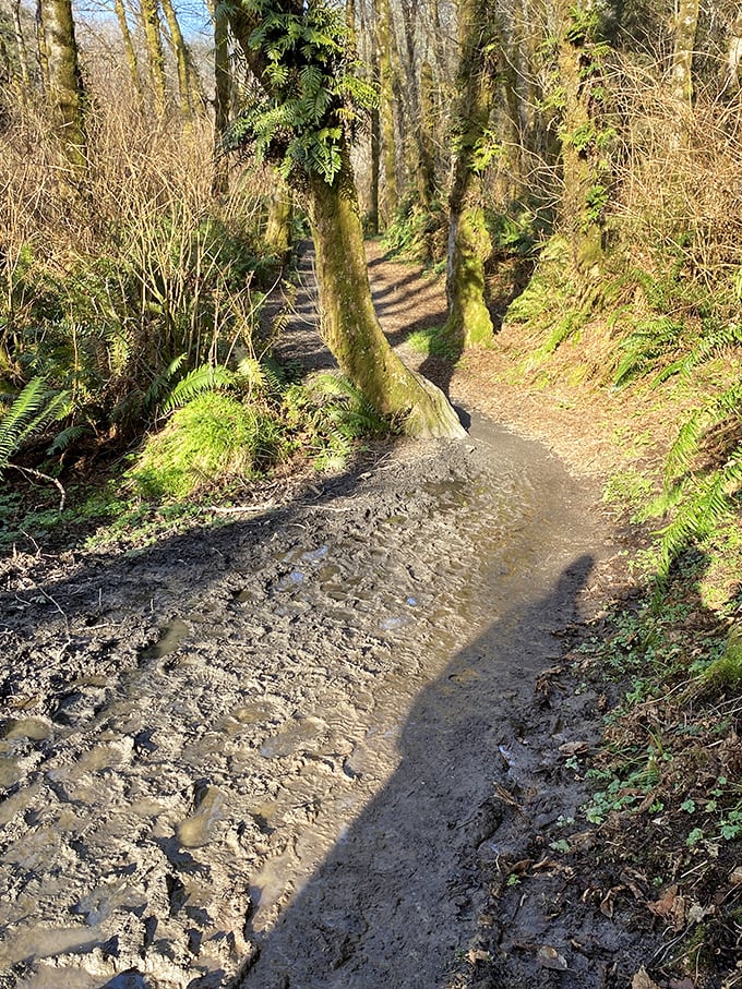 Mother Nature's version of a muddy welcome mat. The price of admission to paradise is sometimes a little dirt on your boots.