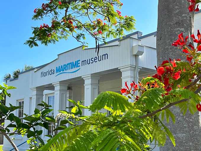 The Florida Maritime Museum stands bright against tropical foliage, preserving the village's rich fishing heritage. History never looked so good in its Sunday whites.