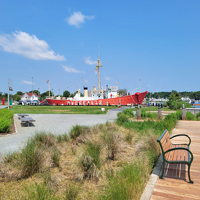 From this vantage point, you can appreciate how perfectly the Overfalls fits into Lewes' landscape—a floating lighthouse that now illuminates history instead of shipping lanes.