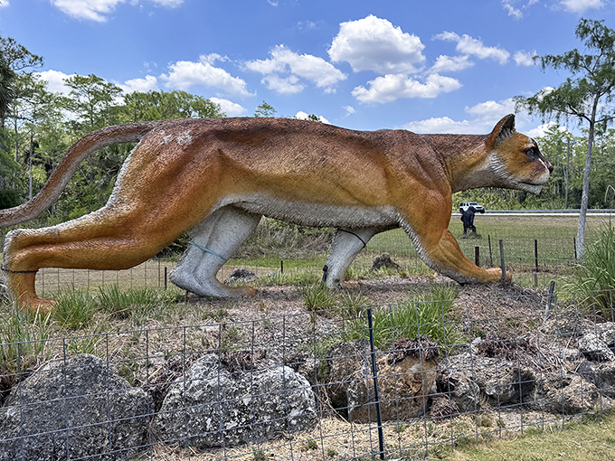 Not the Skunk Ape, but equally impressive! This sleek panther statue showcases another elusive Florida resident, though one with significantly better grooming habits.