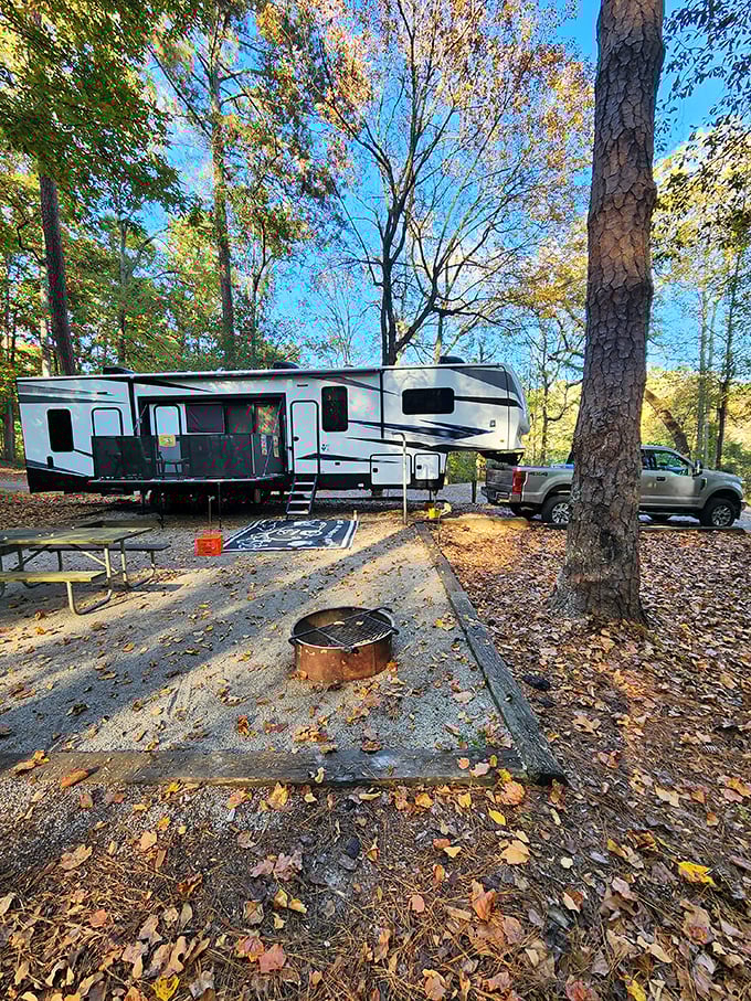 Glamping has entered the chat. This RV setup transforms camping from "roughing it" to "smoothing it" with all the comforts of home amid whispering pines.