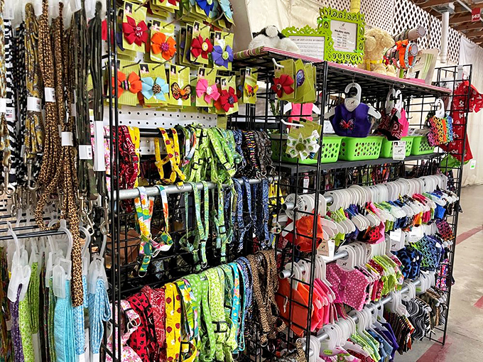 Colorful pet accessories hang like tropical fruit, ready to transform Fido from ordinary canine to the neighborhood's most fashionable four-legged resident.