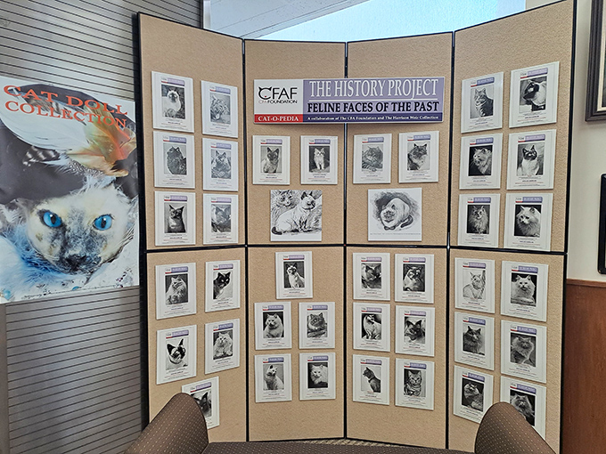 "The History Project: Feline Faces of the Past" showcases notable cats through the decades &ndash; the feline equivalent of Hollywood's Walk of Fame.