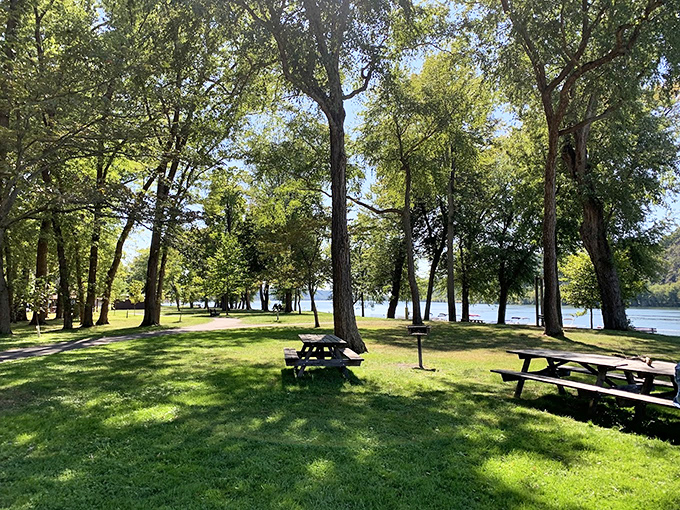Picnic tables waiting for your family stories. These shaded spots have hosted everything from first dates to retirement celebrations—silent witnesses to life's feast.