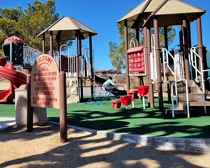 Even the little ones get their desert adventure at Joshua Tree's colorful playground. Swings with mountain views beat city parks any day.