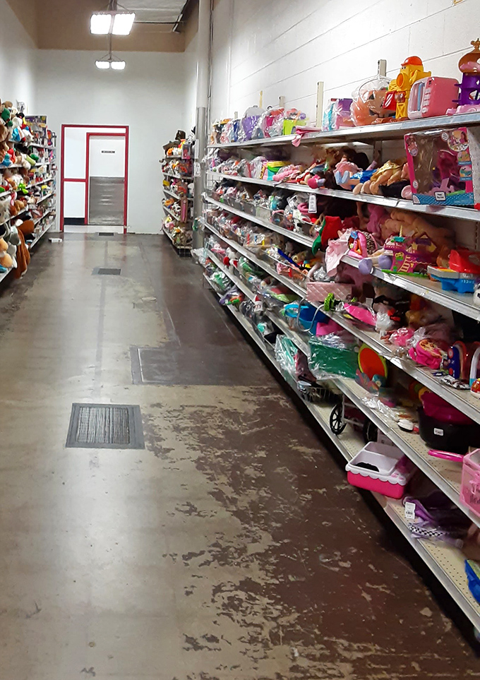 Toy wonderland where childhood memories line the shelves. One person's decluttered closet becomes another family's delight in this plush menagerie.