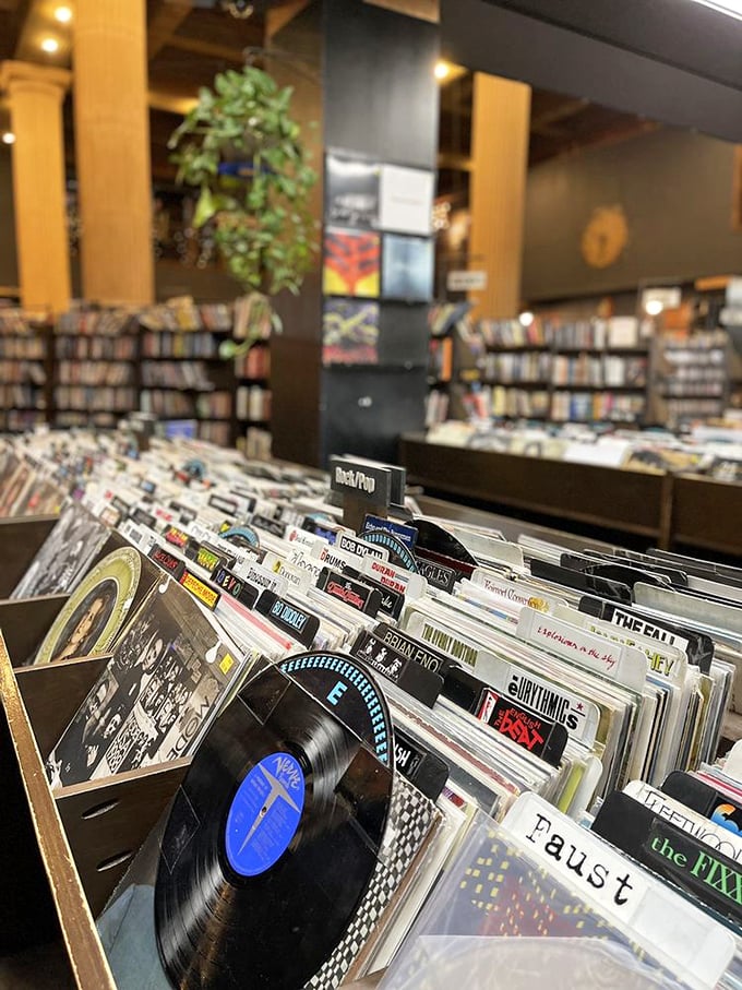 Vinyl enthusiasts, rejoice! The record collection rivals the book selection, proving analog pleasures still reign supreme in our digital world.