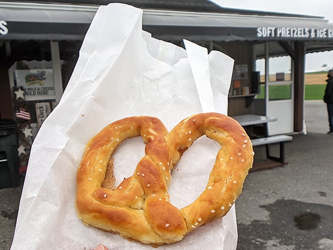 Behold the golden-brown perfection that makes Pennsylvania pretzel royalty. This twisted beauty has the ideal salt-to-dough ratio that pretzel dreams are made of.