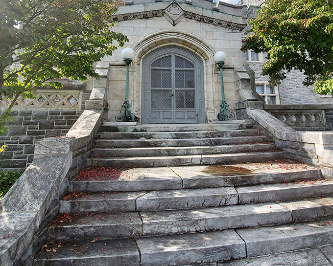 Grand entrance or time machine? These worn stone steps have welcomed visitors for over a century, each crack telling its own story.