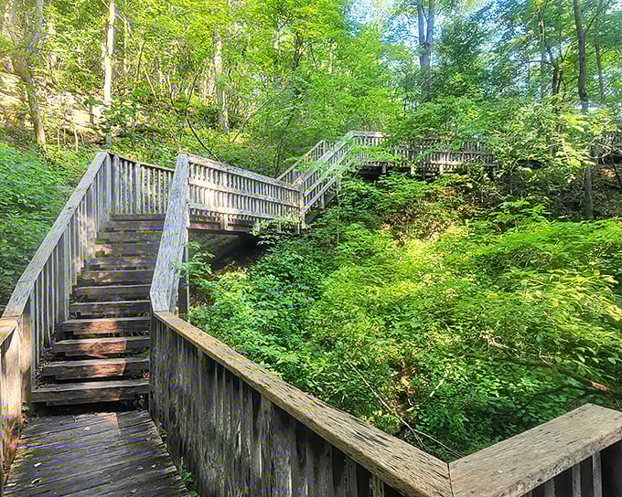Wooden steps wind through lush Ozark forest, proof that sometimes the journey down is as breathtaking as the destination below.