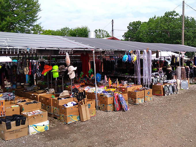 Retail therapy without the mall prices! Colorful merchandise spills from cardboard boxes under canopies, promising discoveries for those willing to dig.