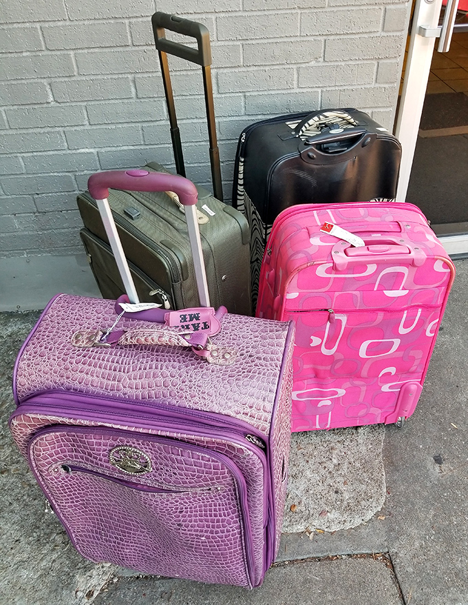The luggage lineup looks like it's waiting for a flight to Bargain Paradise. That purple croc-print suitcase is practically begging for an adventure!