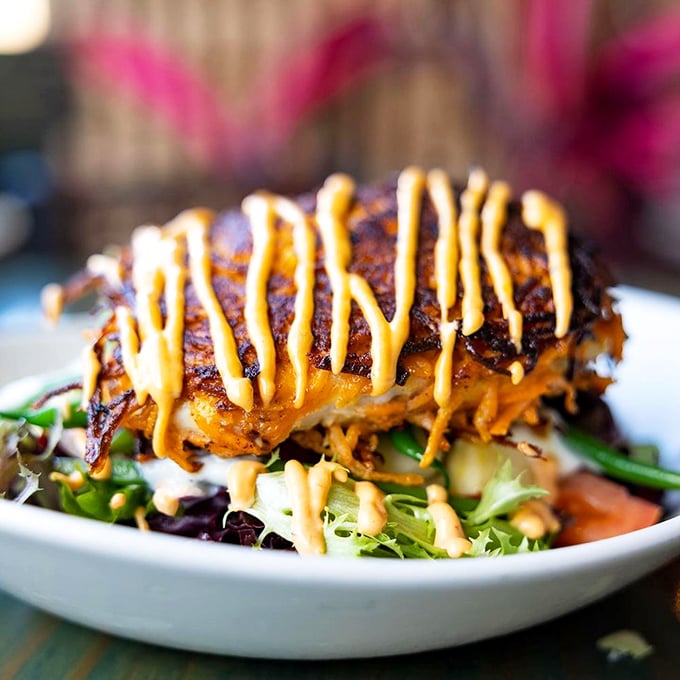 The legendary sweet potato crusted fish—crispy exterior, tender flaky fish, and that sauce drizzled on top? This is what food dreams are made of.