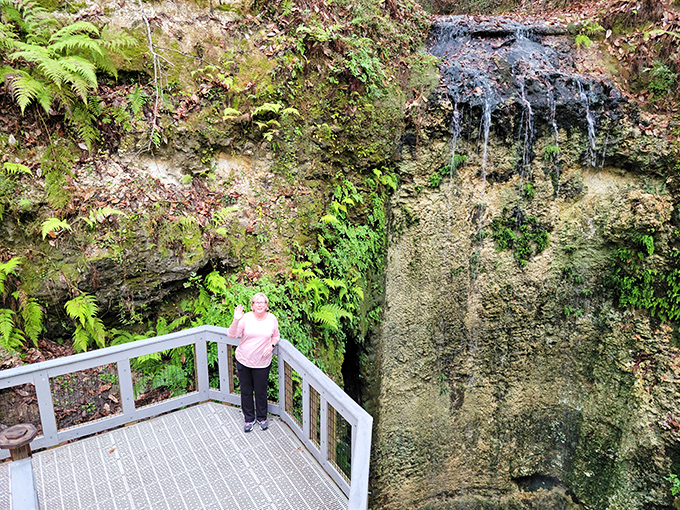 Perspective is everything at Florida's tallest waterfall. What looks like a trickle from above becomes a mesmerizing 73-foot plunge into Earth's mysterious depths.