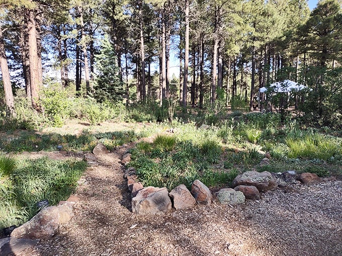 Rocky mountain gardens prove that beauty and resilience make the perfect gardening partnership in high-altitude paradise. 