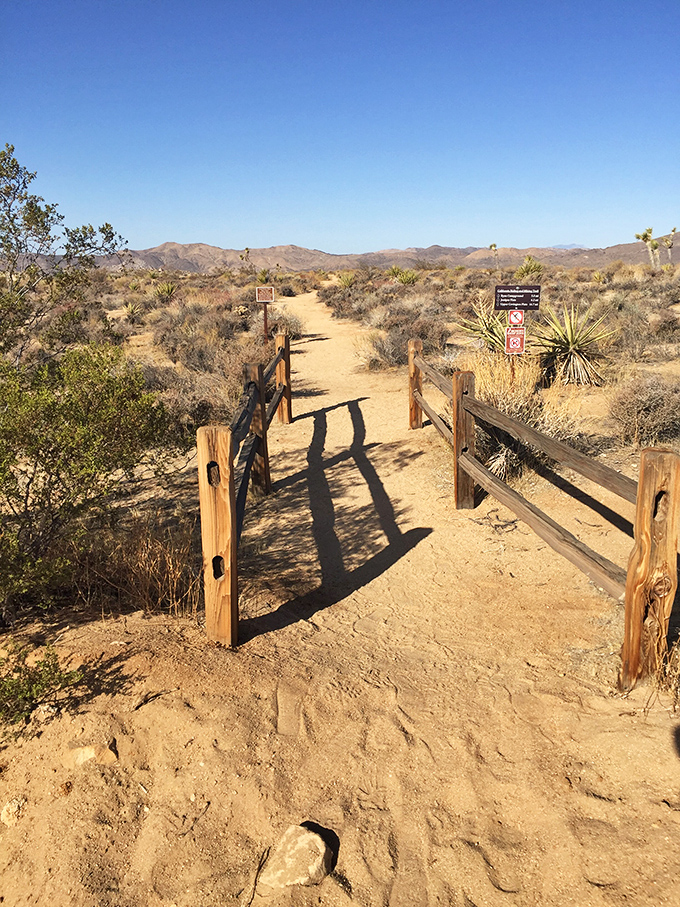 Gateway to geological wonders. These wooden posts aren't just trail markers &ndash; they're the threshold between ordinary life and extraordinary discovery.