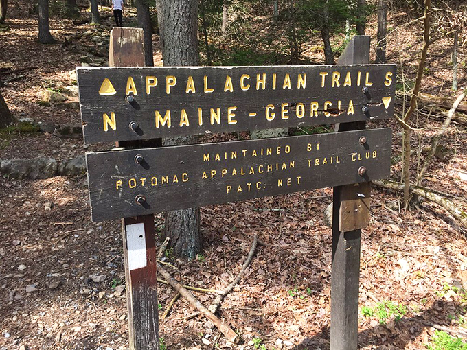 The Appalachian Trail sign: where hikers either celebrate being halfway to somewhere or realize they've only walked 1,000 miles with 1,000 more to go.