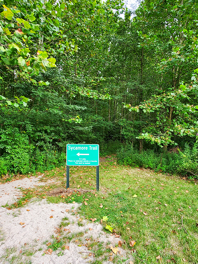 "This way to serenity!" The Sycamore Trail beckons with 0.6 miles of woodland therapy&mdash;no appointment or insurance required.