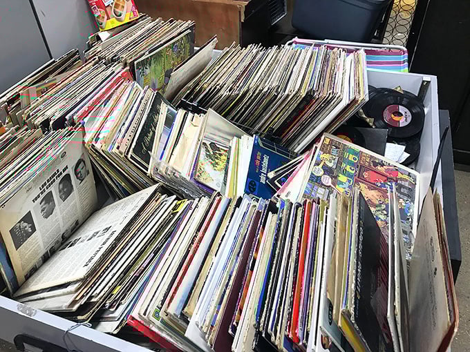 Vinyl heaven for analog souls! Crate-diggers paradise where forgotten albums wait for their needle-drop resurrection moment.