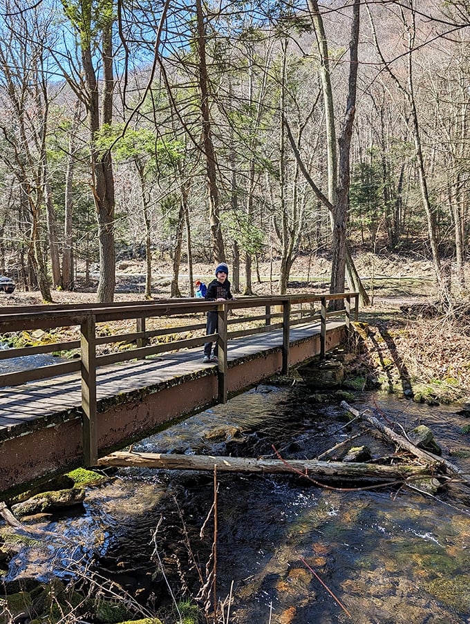 Winter hiking brings its own rewards. This wooden footbridge offers passage over the creek while providing front-row seats to nature's quiet season.
