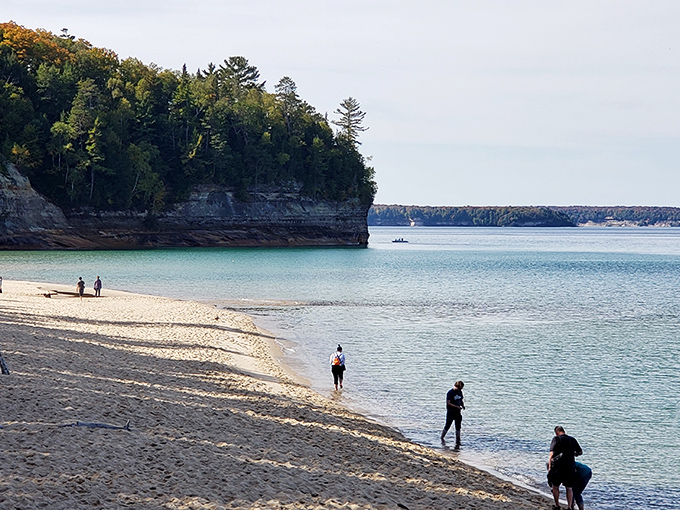 Sandy shores meet crystal waters at Miners Beach, where brave souls dip their toes into Lake Superior's refreshing (translation: bracingly cold) embrace.