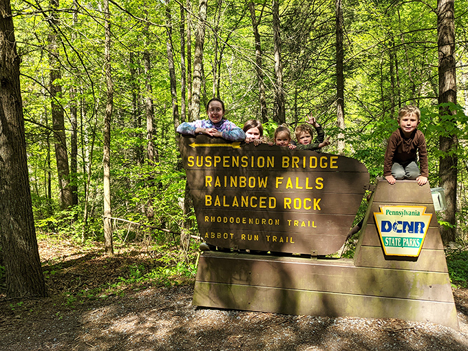 Trail markers that actually tell you where you're going&mdash;a revolutionary concept! These wooden signposts are the unsung heroes of stress-free hiking.