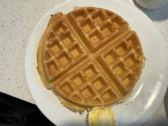 Golden waffle perfection with those signature square divots &ndash; nature's ingenious way of creating butter reservoirs.