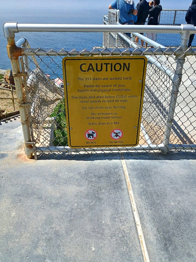 "The 313 stairs are wicked hard" might be the most honest warning sign in America. Consider yourself officially notified about this thigh-burning adventure!