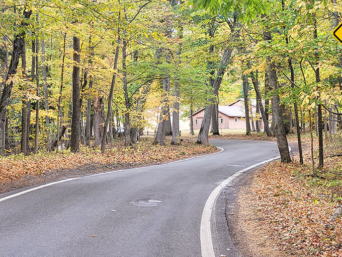 Each curve reveals another postcard moment. Driving slow isn't just recommended here&mdash;it's practically mandatory for your soul.