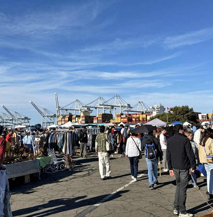 Maritime breezes carry the excitement of discovery across this waterfront treasure hunting wonderland.