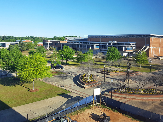 Albany's college campus spreads out beneath Georgia sunshine – where higher learning meets higher standards of landscaping.