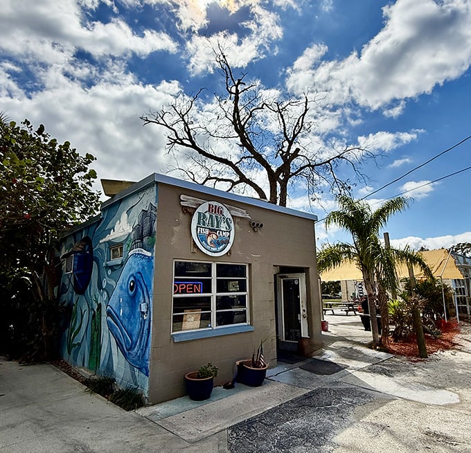 That blue grouper mural isn't just decoration&mdash;it's a promise of what awaits inside this tiny Tampa treasure. Art you can eat!